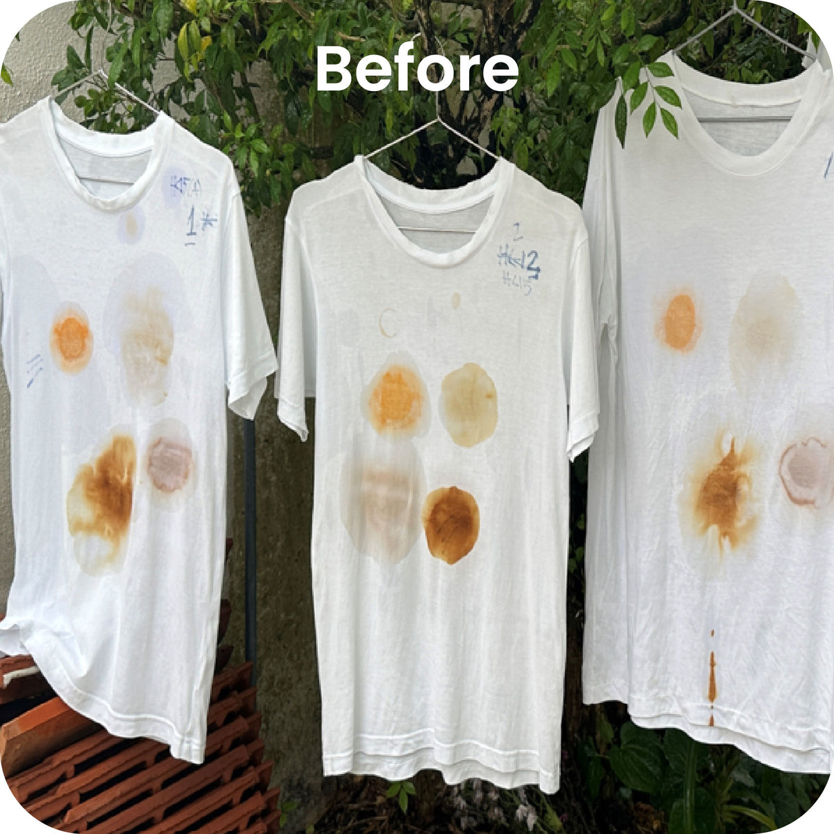 Evanese Ultra Concentrate Laundry Detergent – Nexteamwork