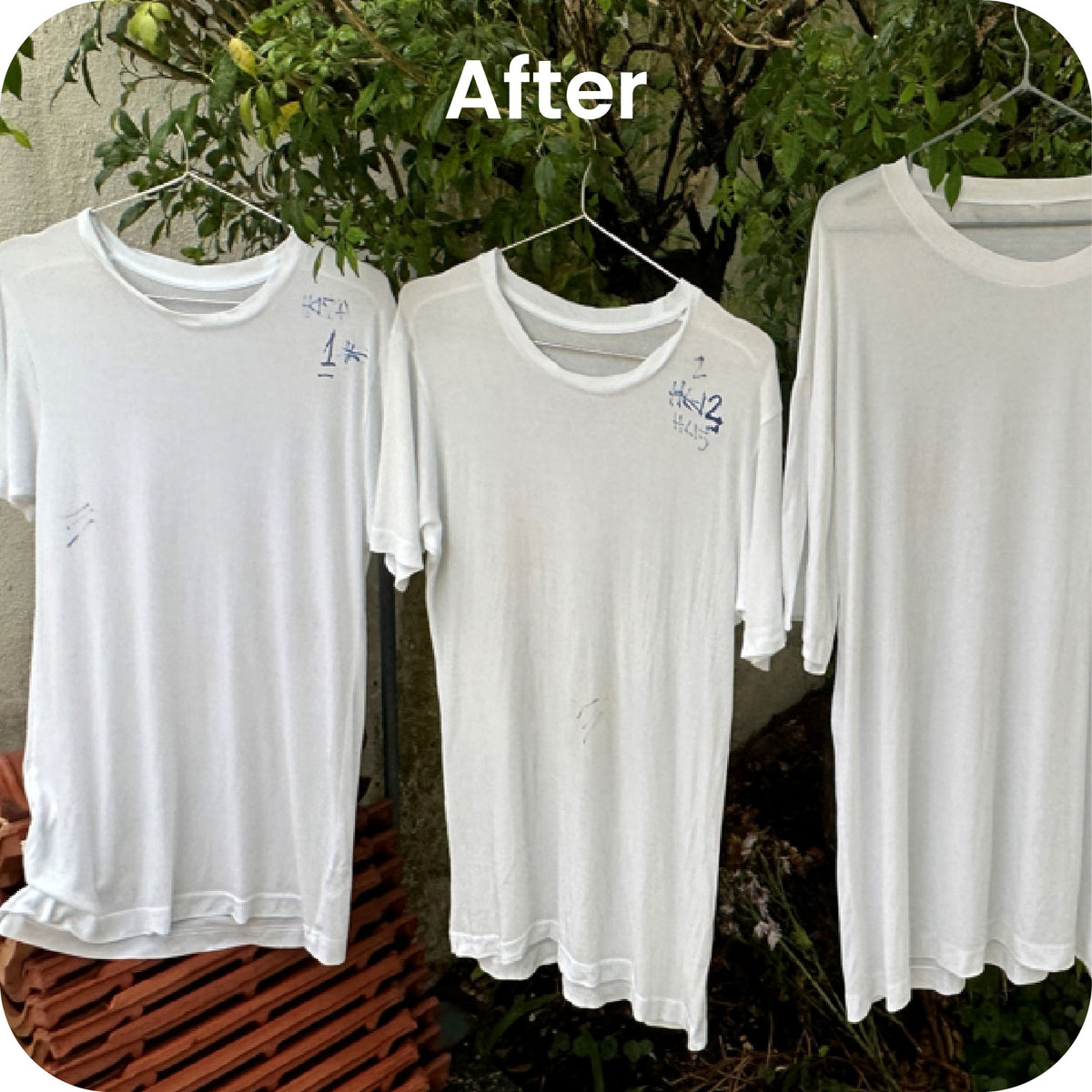 Evanese Ultra Concentrate Laundry Detergent – Nexteamwork